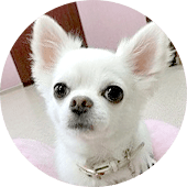 スタッフ| 羽田空港ペットホテル HANEDA AIRPORT PET HOTEL